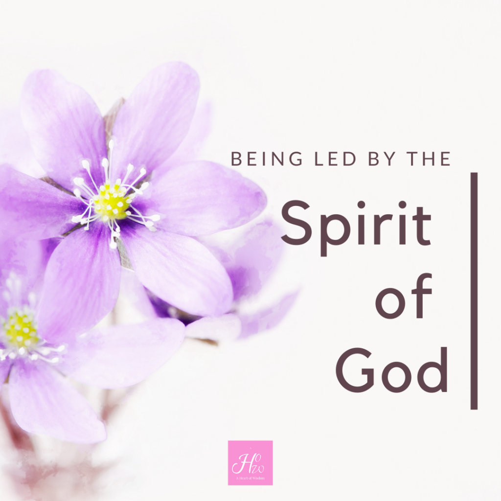 Being Led By God – A Heart of Wisdom